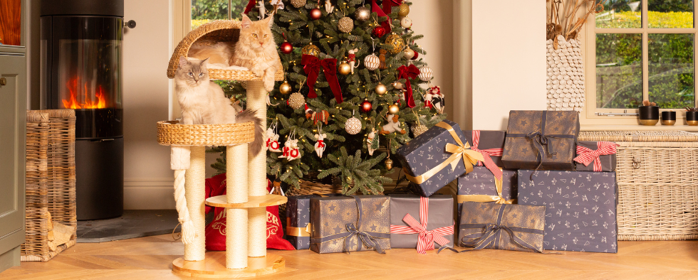 Make an Advent Calendar for Your Cat This Christmas – Lords & Labradors