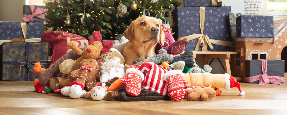 Make an Advent Calendar for Your Dog This Christmas | L&L Info Hub ...