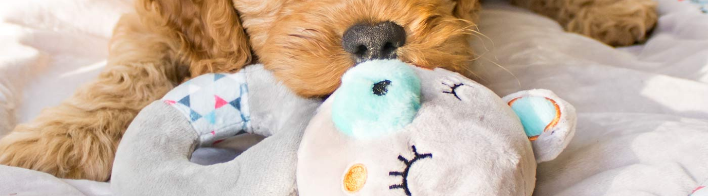 Little Rascals Puppy Toys – Lords & Labradors