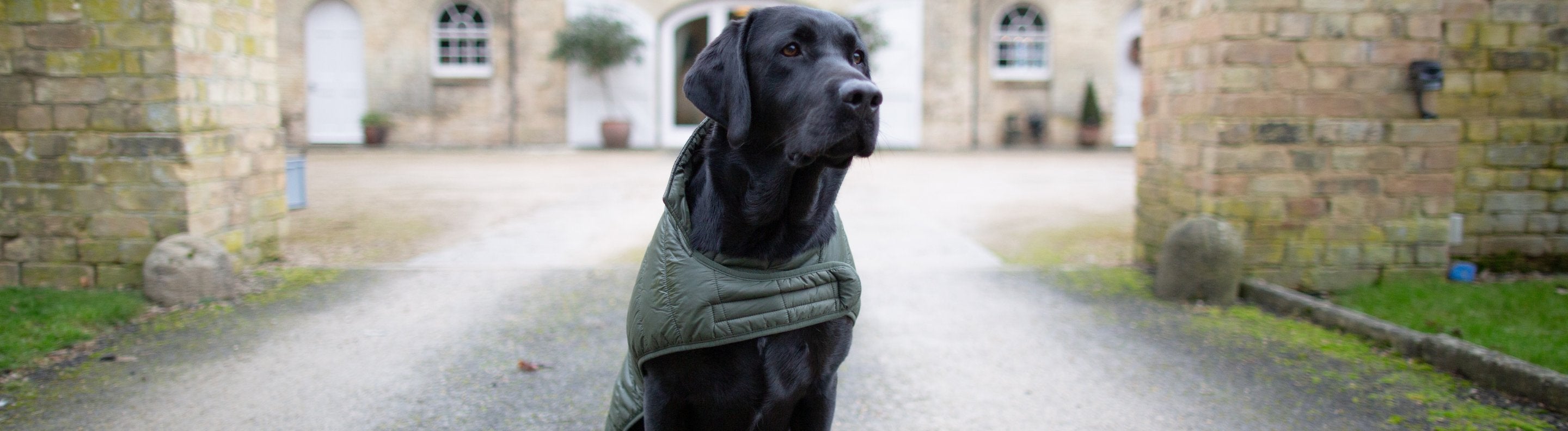 Barbour Dog Collars, Beds & Walking Accessories | Lords & Labradors