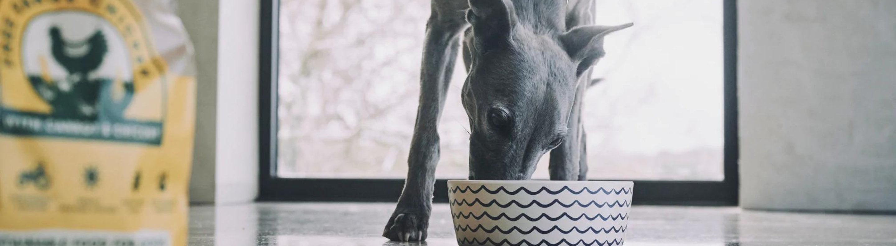 Beco Toys & Accessories for Cats & Dogs | Lords & Labradors