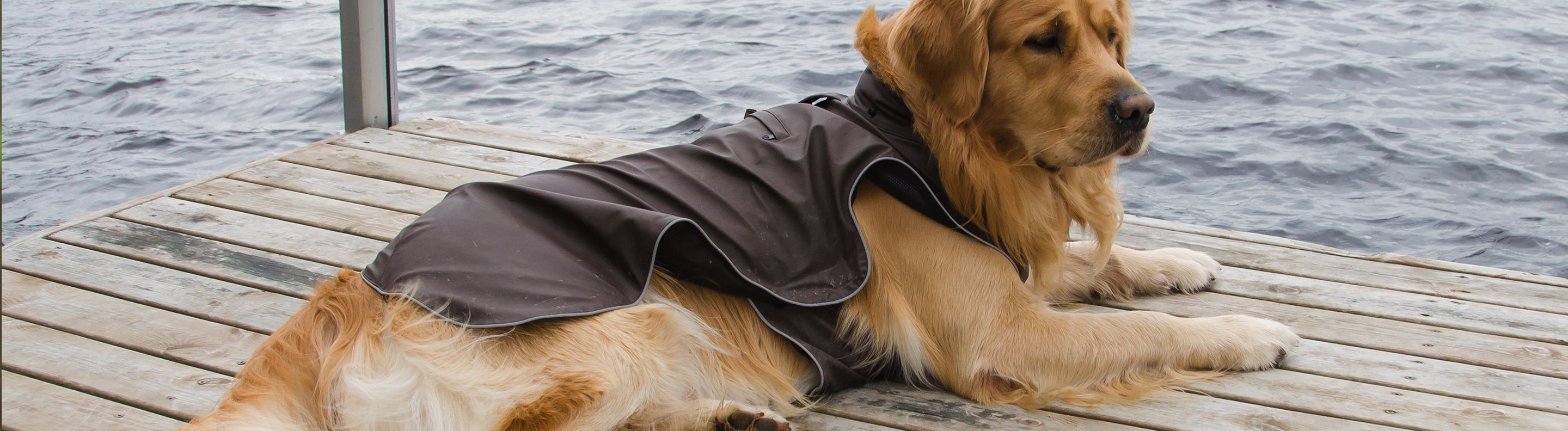 Dog Accessories | Luxury Accessories for Dogs | Lords & Labradors