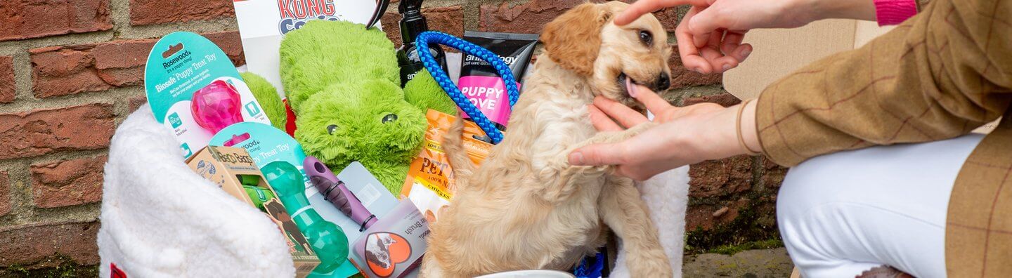 Puppy Starter Kits UK | Puppy Starter Packs | Lords & Labradors