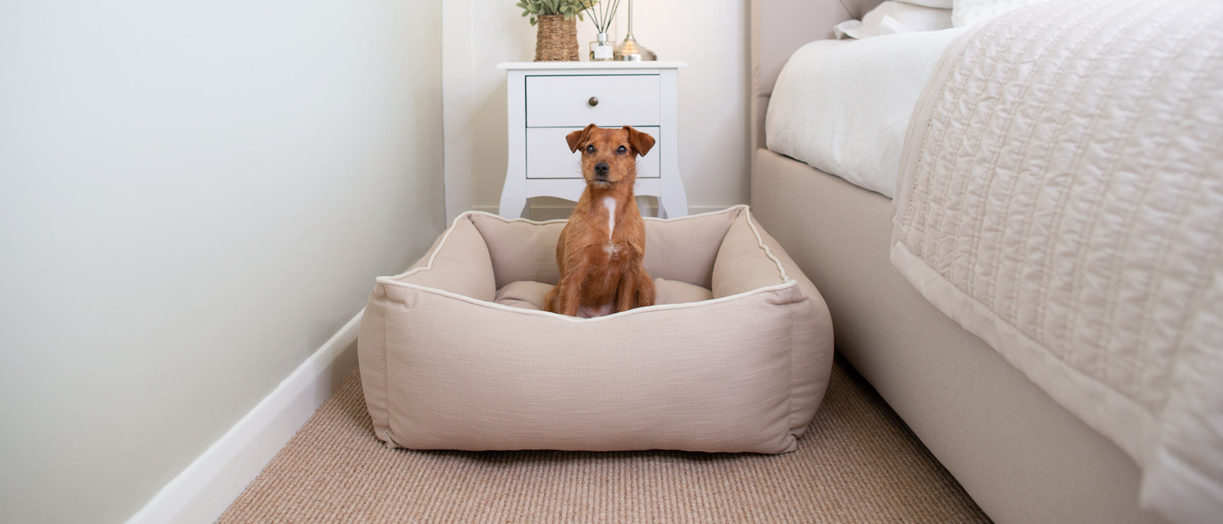 The Savanna Collection – Lords & Labradors