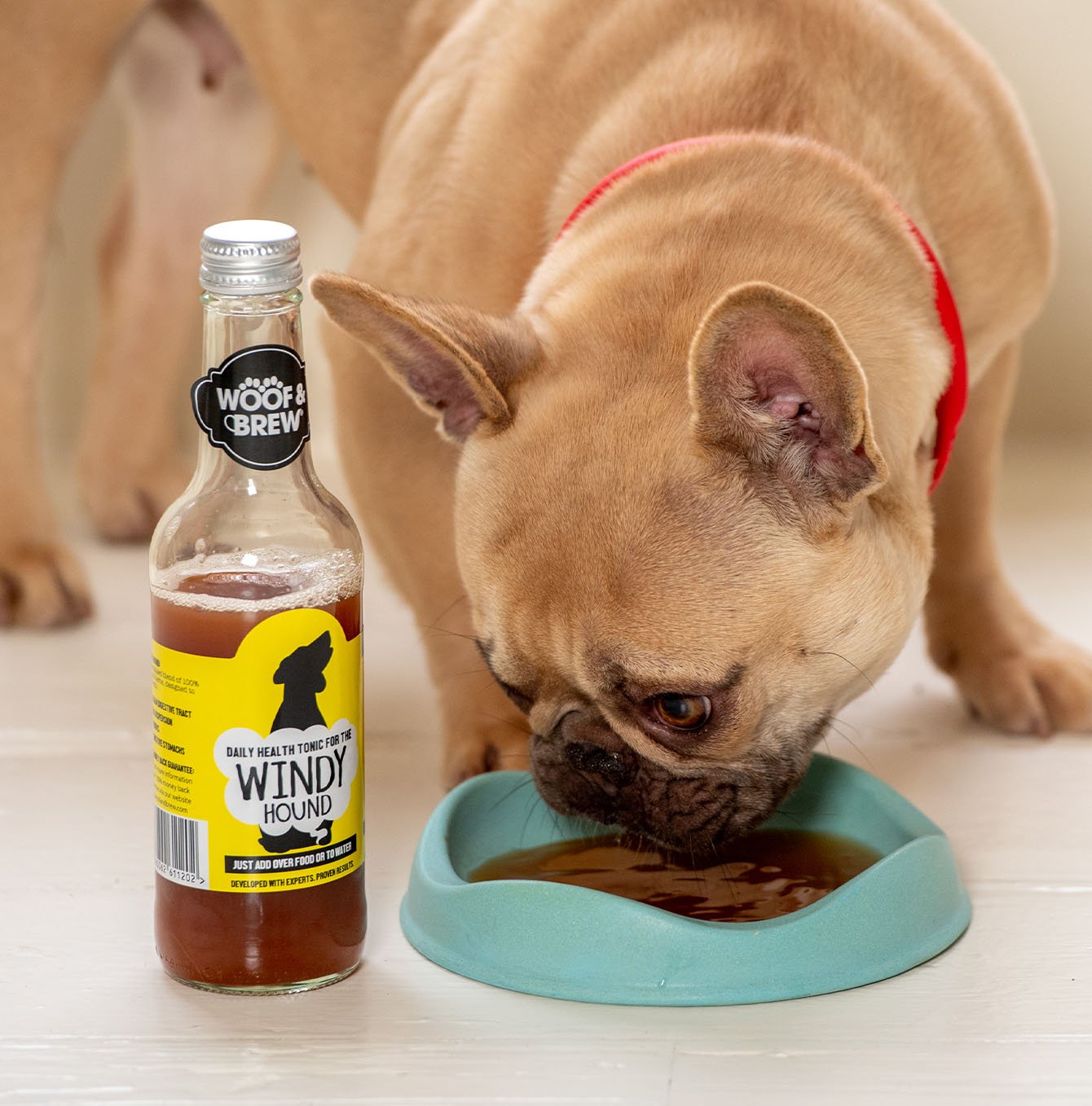 Woof & Brew Dog Drinks – Lords & Labradors