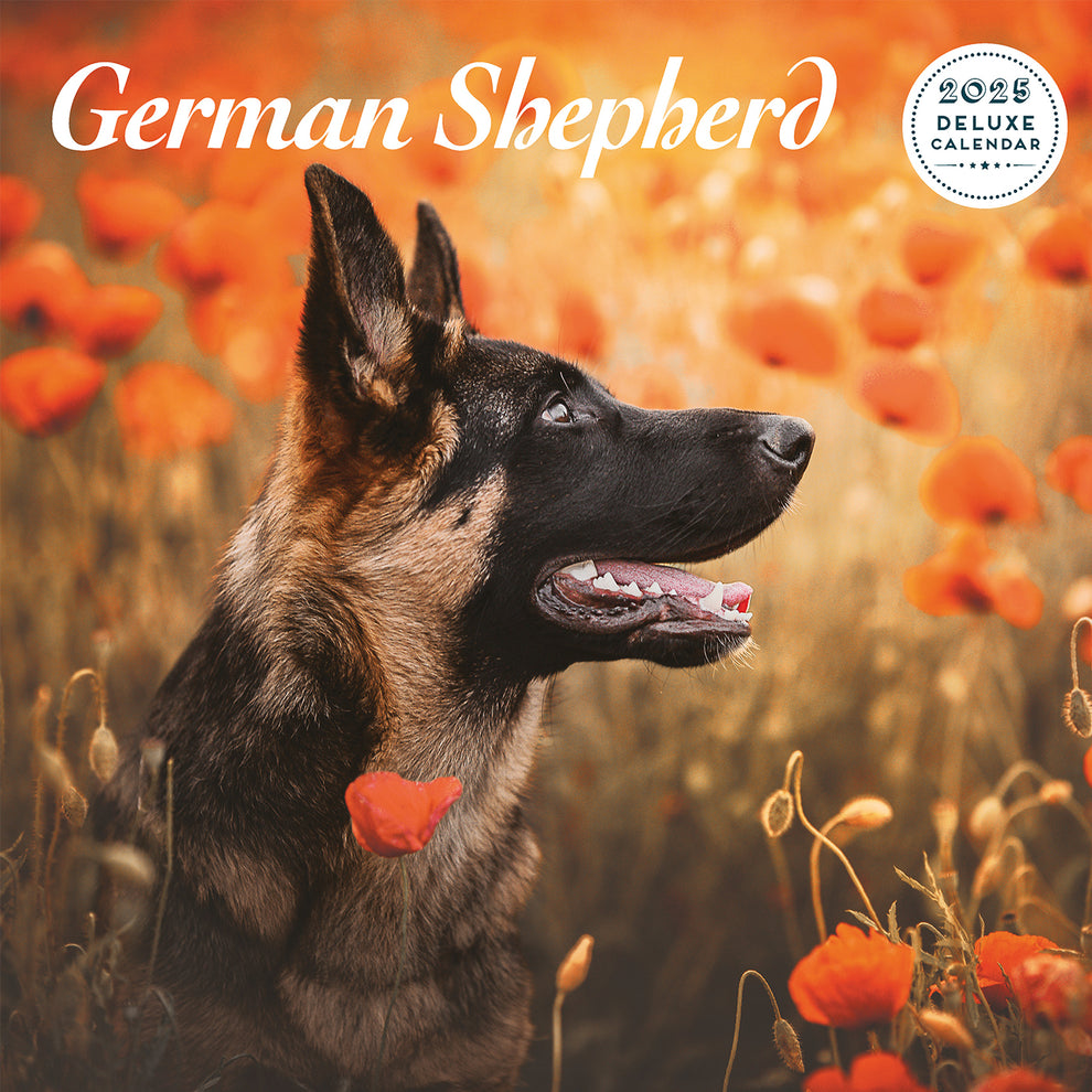 German Shepherd Deluxe Calendar 2025 | Lords & Labradors