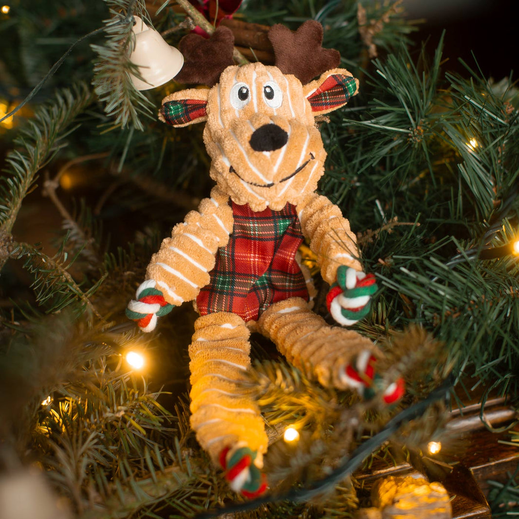 Floppy Knots Hippo | KONG Dog Toy | Lords & Labradors