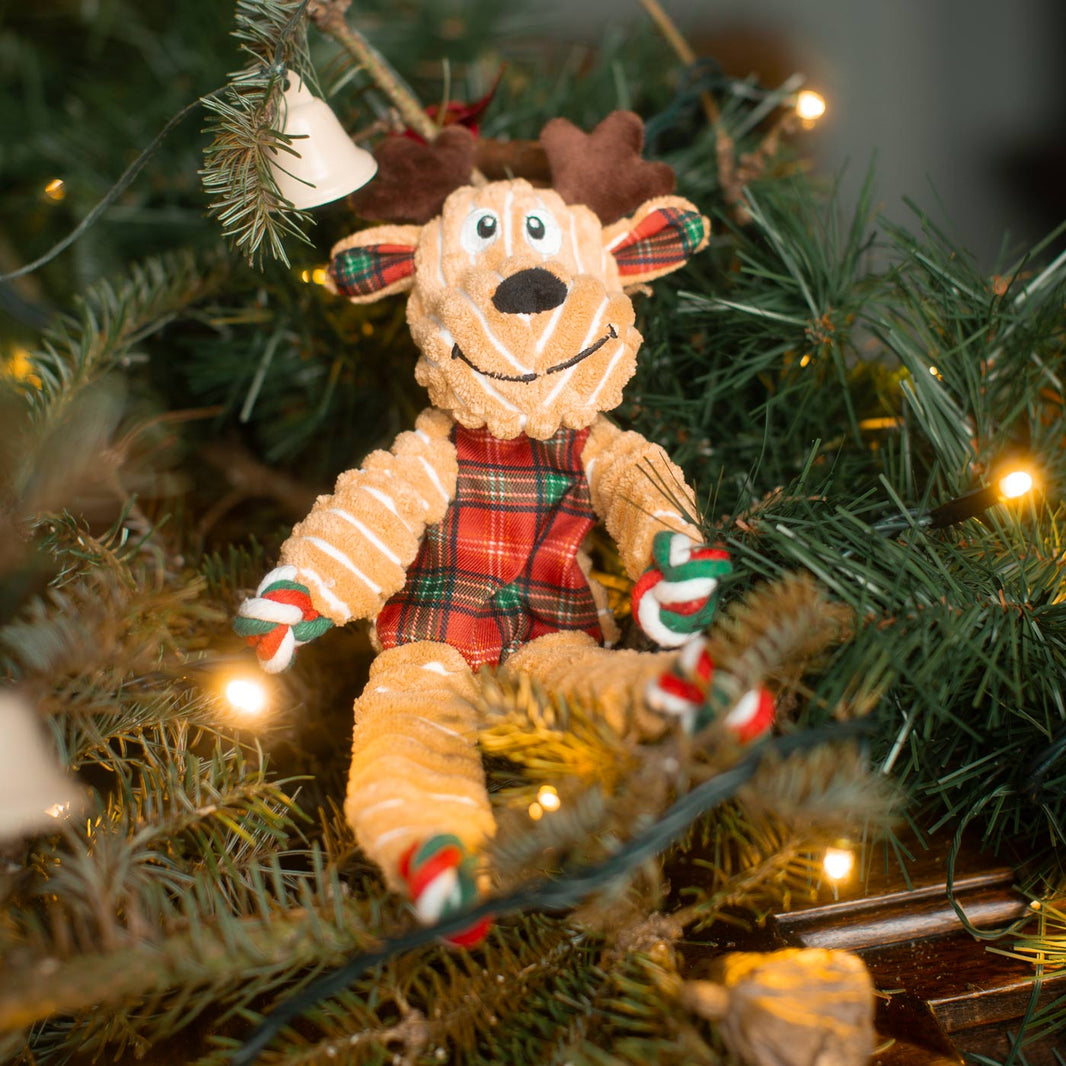 Floppy Knots Hippo | KONG Dog Toy | Lords & Labradors