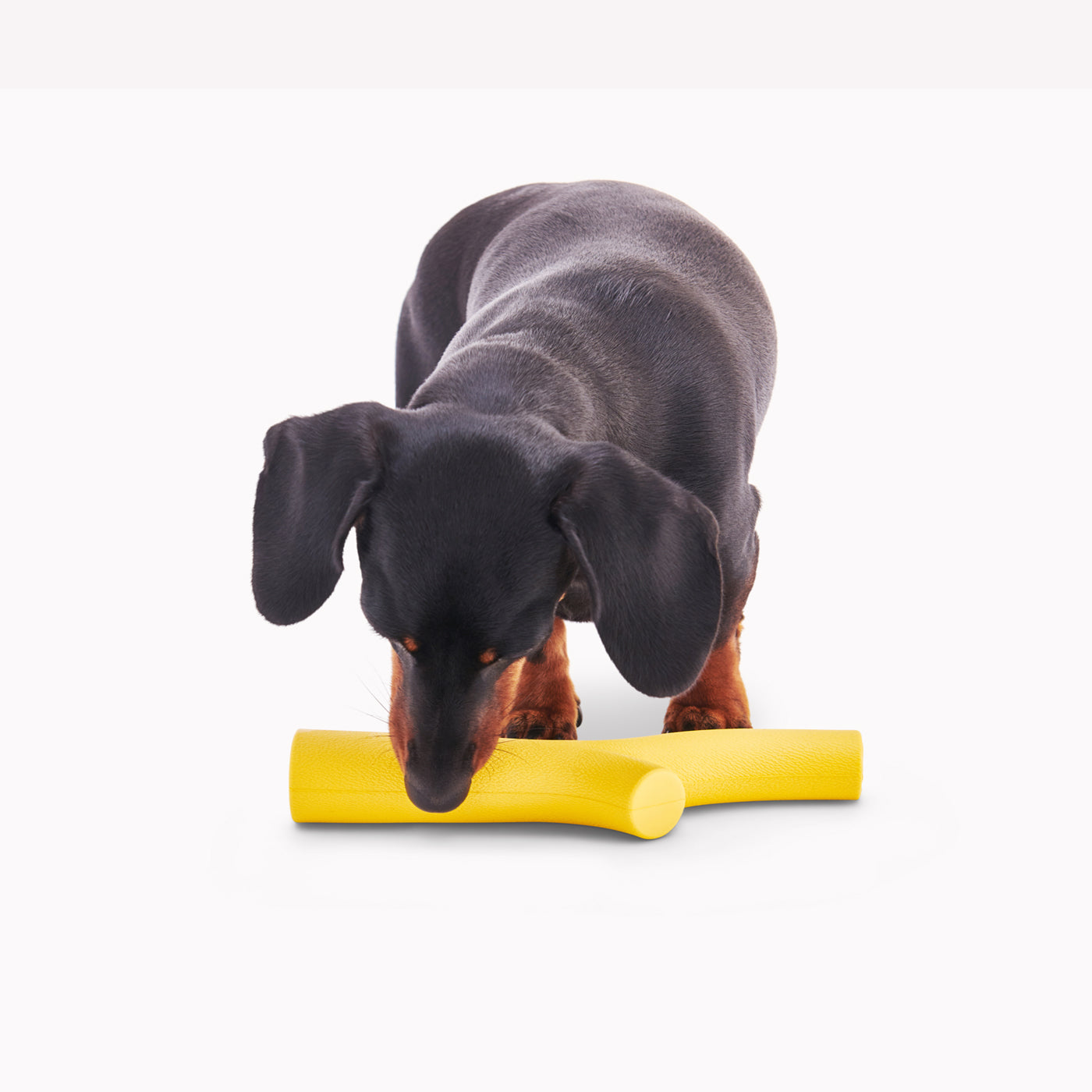 Beco Super Stick Yellow | Beco Dog Toys | Lords & Labradors
