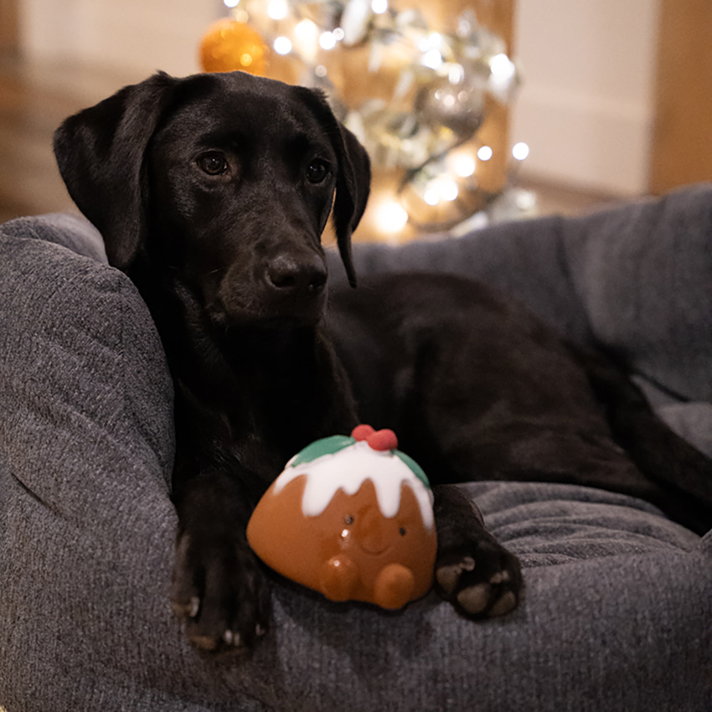 Chrissie Christmas Pudding Dog Toy | Petface Christmas Toy | Lords ...