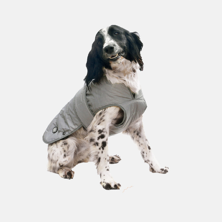 Designer Dog Coats | Tweed & Waterproof Coats for Dogs | Lords & Labradors