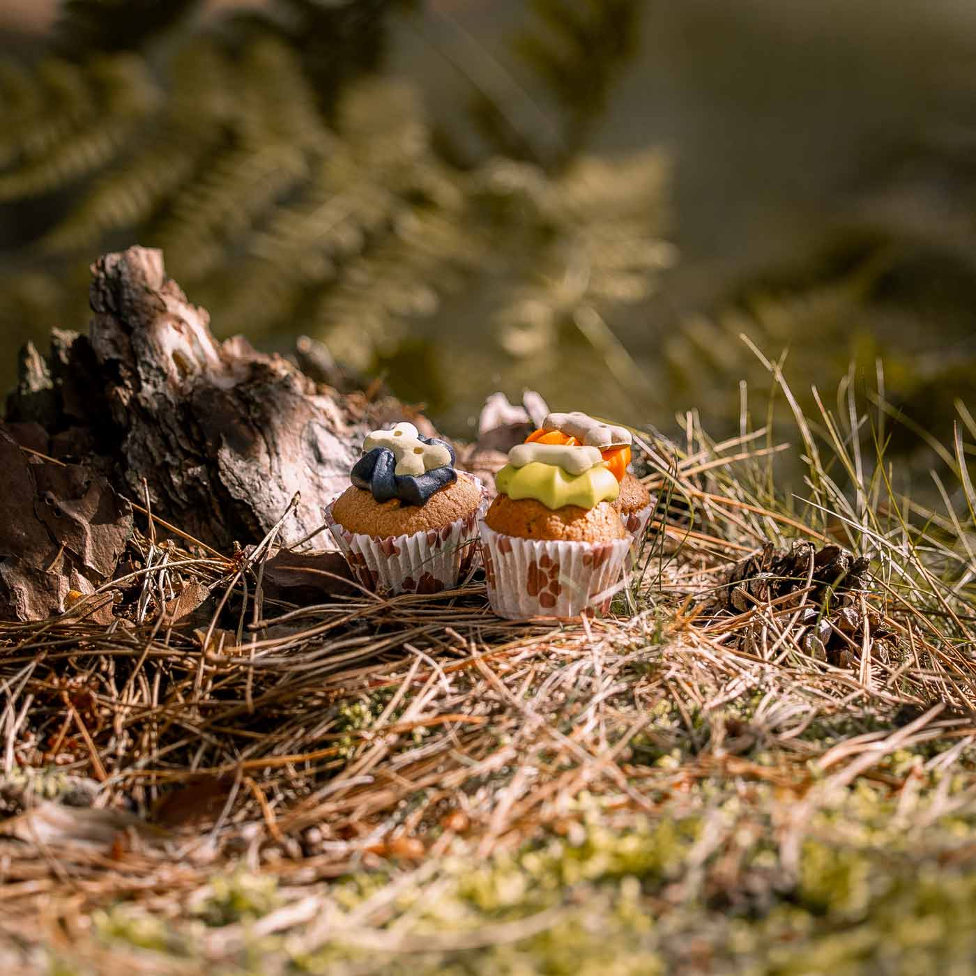 Barking Bakery Howloween Cheesey Dog Biscuits | Lords and Labradors ...