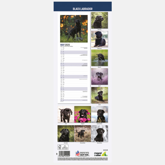 Labrador Black Slim Calendar 2025 | Lords & Labradors