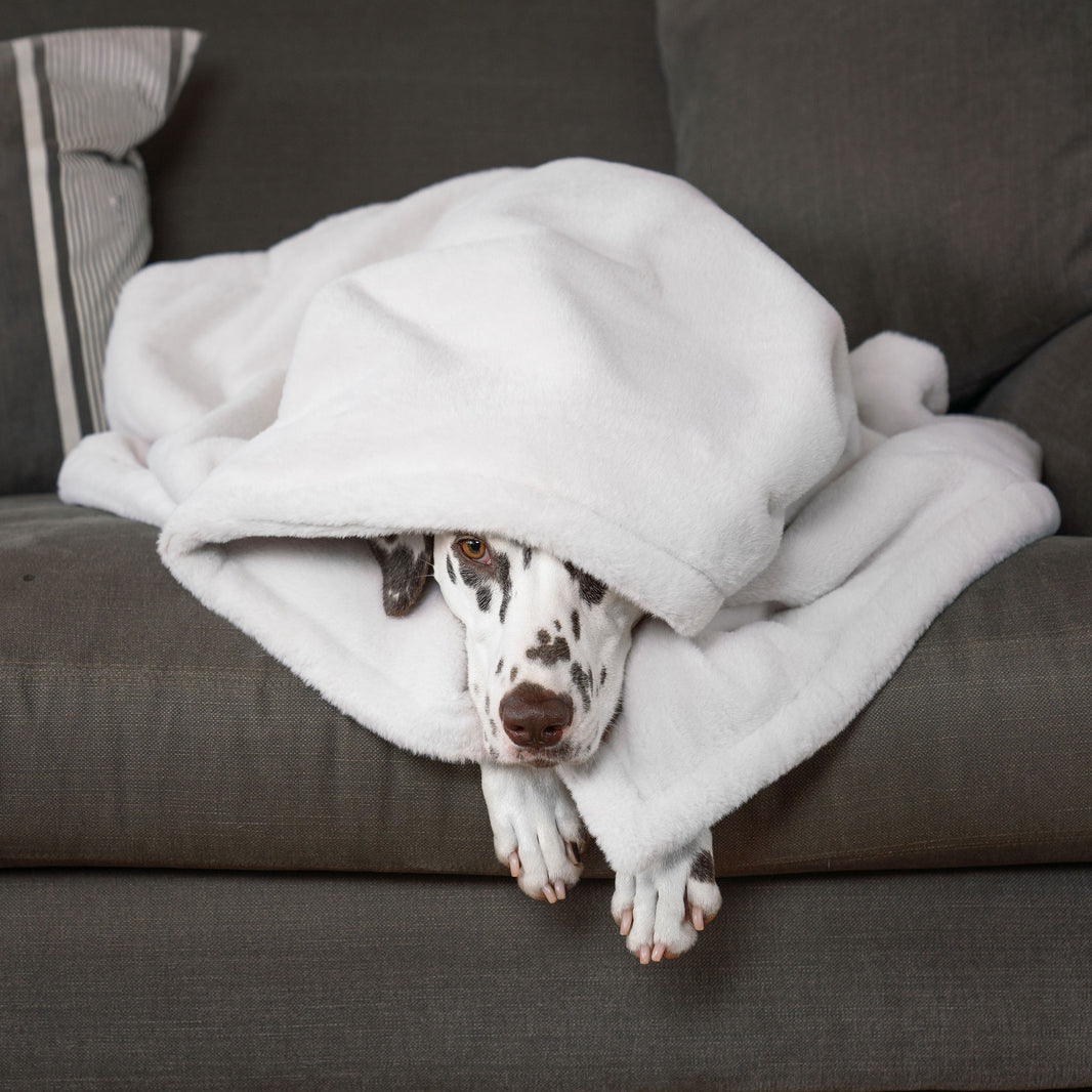 Sleepy Burrows Bed in Faux Fur | Luxury Dog Beds | Lords & Labradors