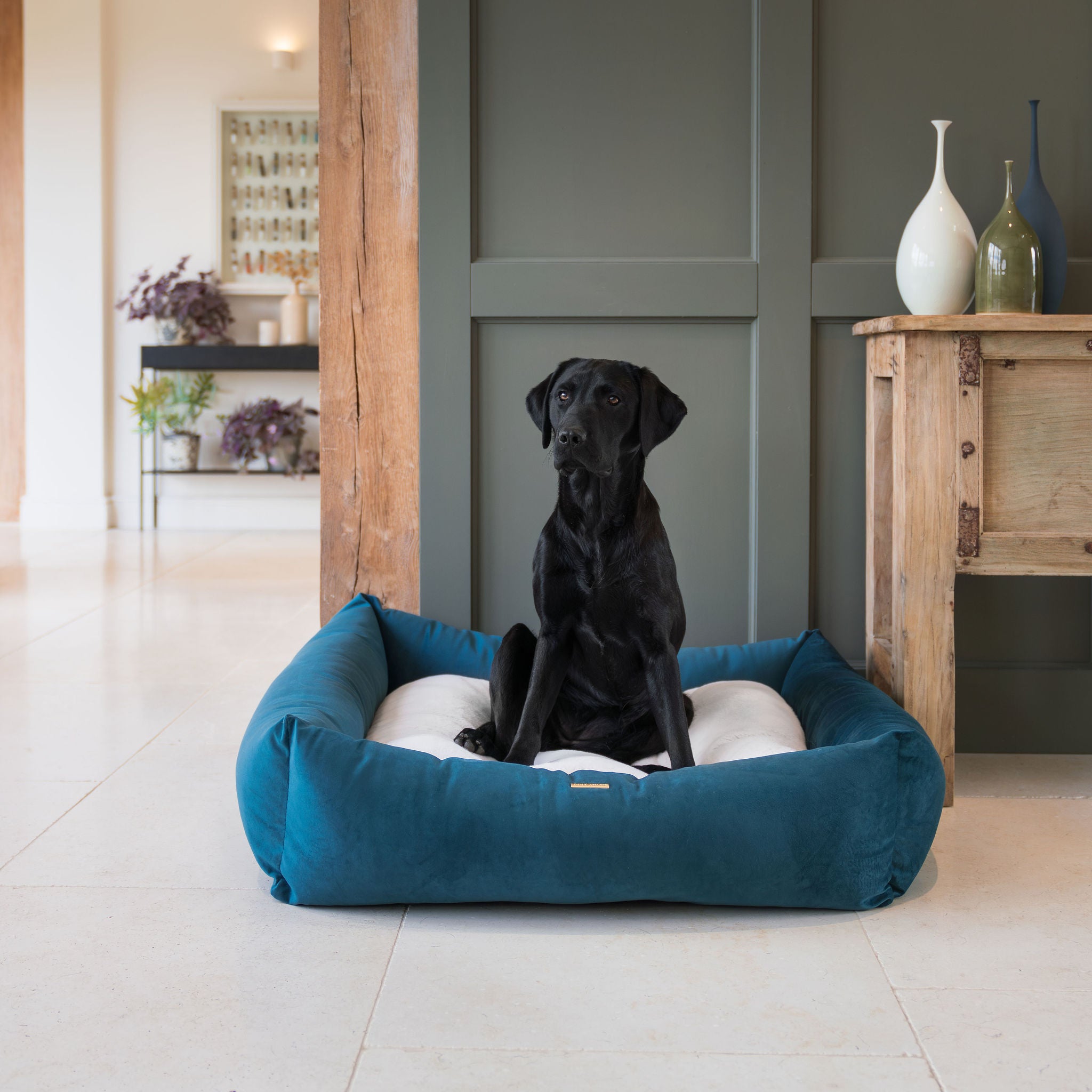 Box Bed For Dogs In Velvet Marine | Square Beds | Lords & Labradors