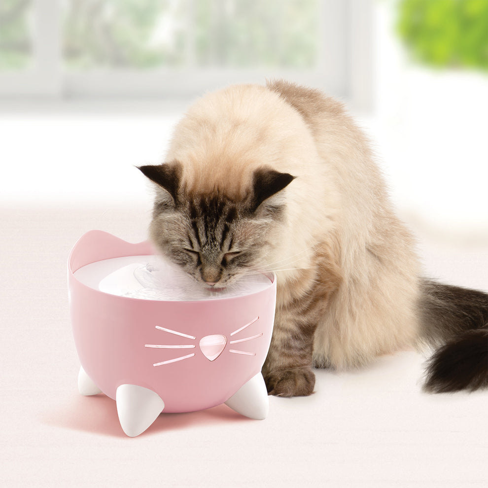 Pixi Fountain | Catit Cat Drinking Fountain | Lords & Labradors