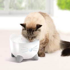 Pixi Fountain | Catit Cat Drinking Fountain | Lords & Labradors