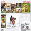 Cavapoo 2025 Traditional Calendar | Gifting | Lords & Labradors