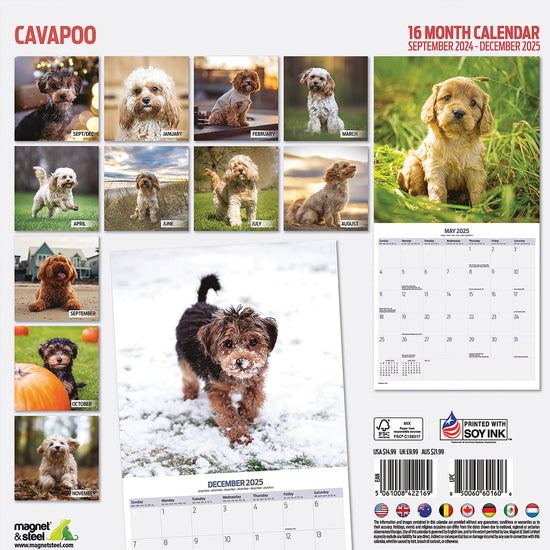 Cavapoo 2025 Traditional Calendar | Gifting | Lords & Labradors