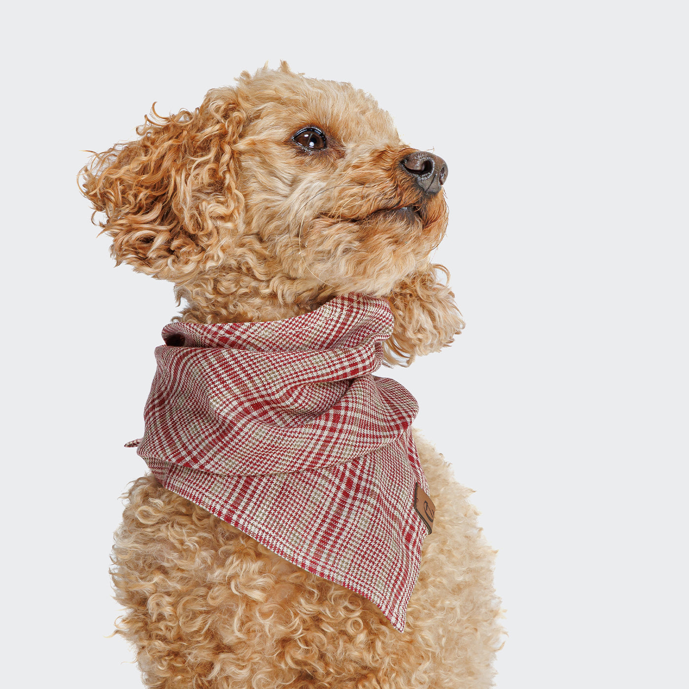 Cloud7 Red Check Bandana | Dog Accessories | Lords & Labradors