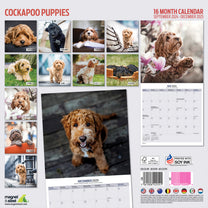 Cockapoo Puppy 2025 Traditional Calendar | Gifting | Lords & Labradors