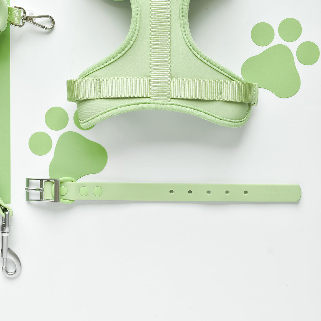 Matcha NAKD Adjustable Dog Harness | Cocopup | Lords and Labradors ...