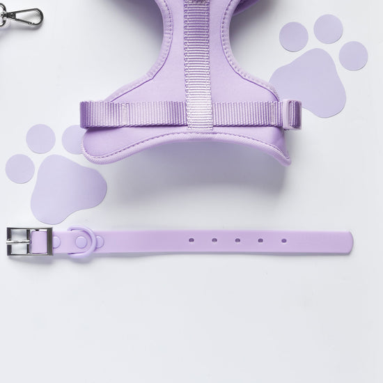 Parma Violets NAKD Dog Collar | Cocopup London | Lords & Labradors