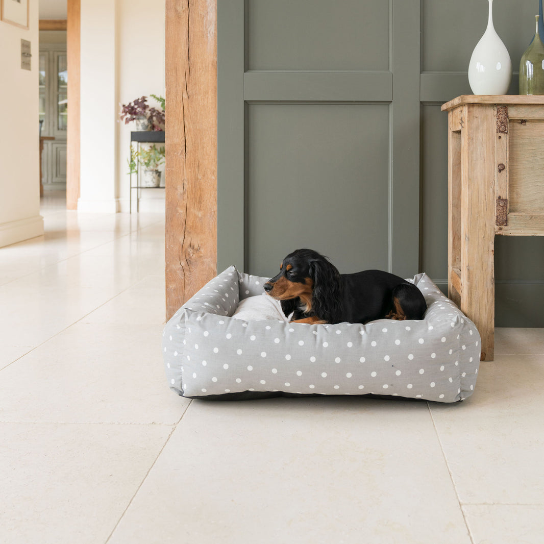 Cockapoo Beds, Collars, and Accessories | Lords & Labradors