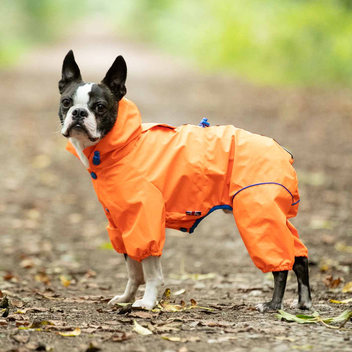 Puffer Jacket | Hugo & Hudson Dog Clothing | Lords and Labradors ...