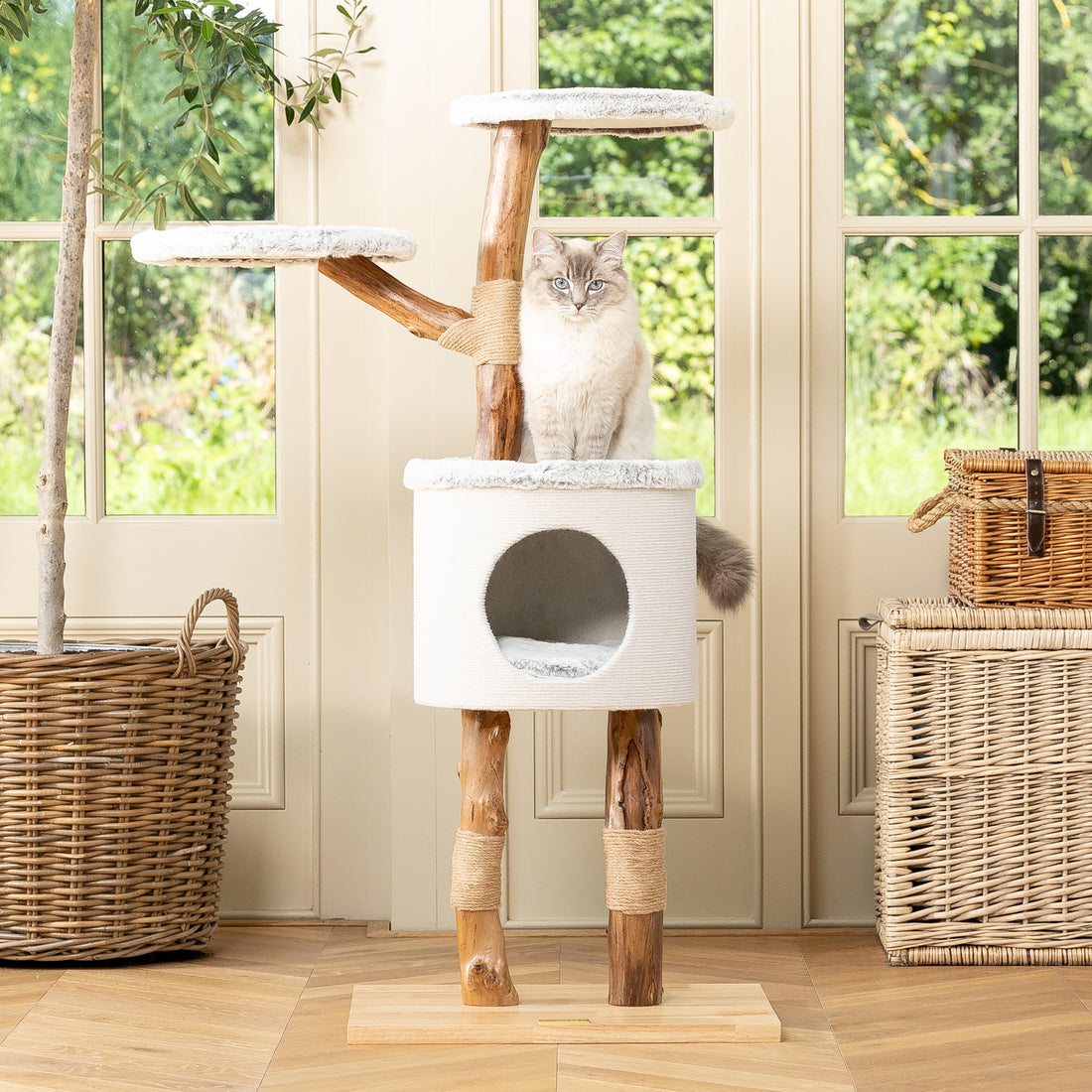 Back to Nature The High Rise Cat Scratch Post | Cat Tree | Lords ...