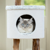 Back to Nature The High Rise Cat Scratch Post | Cat Tree | Lords ...