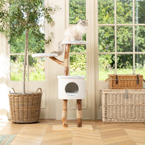 Back to Nature The High Rise Cat Scratch Post | Cat Tree | Lords ...