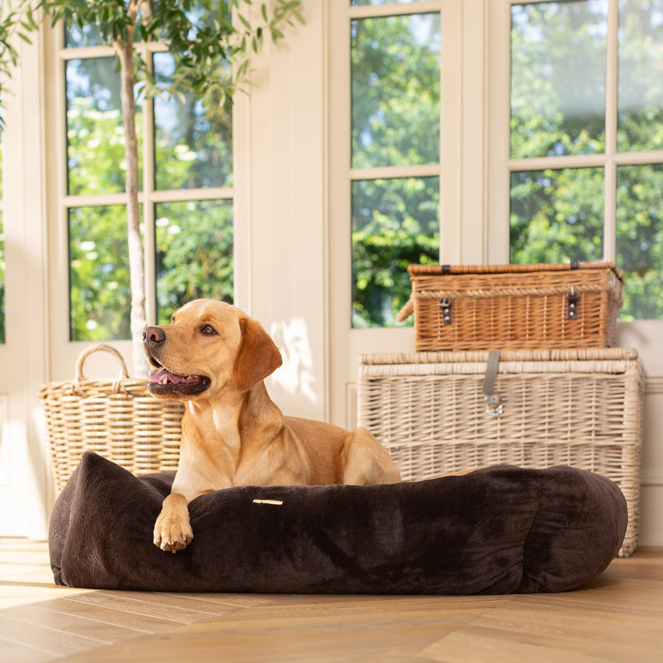 Box Bed For Dogs - Dusk Faux Fur | Lords & Labradors Luxury Dog Beds