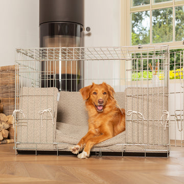 Everything You Need For Your New Cavapoo Puppy | L&L Info Hub – Lords ...