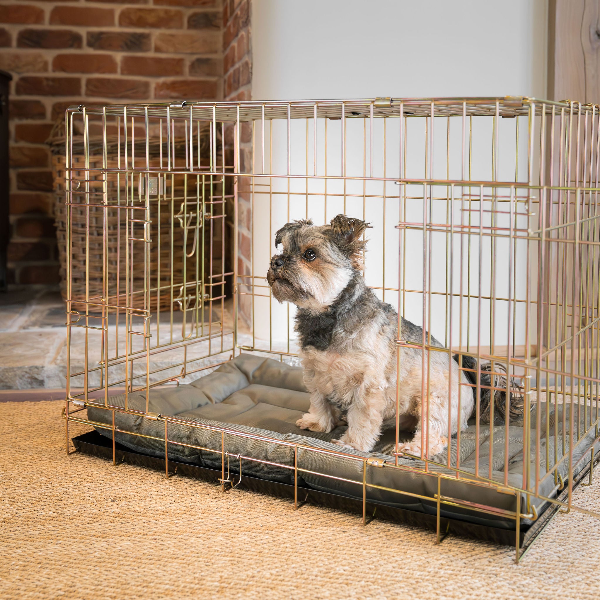 Crate Maze Mat In Forest | Dog Cage Mat & Pads | Lords & Labradors