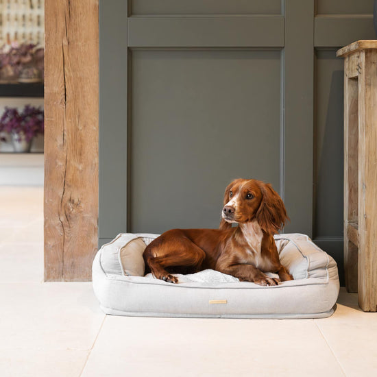 Deep Sleep Dog Bed - Alabaster | Luxury Dog Beds | Lords & Labradors