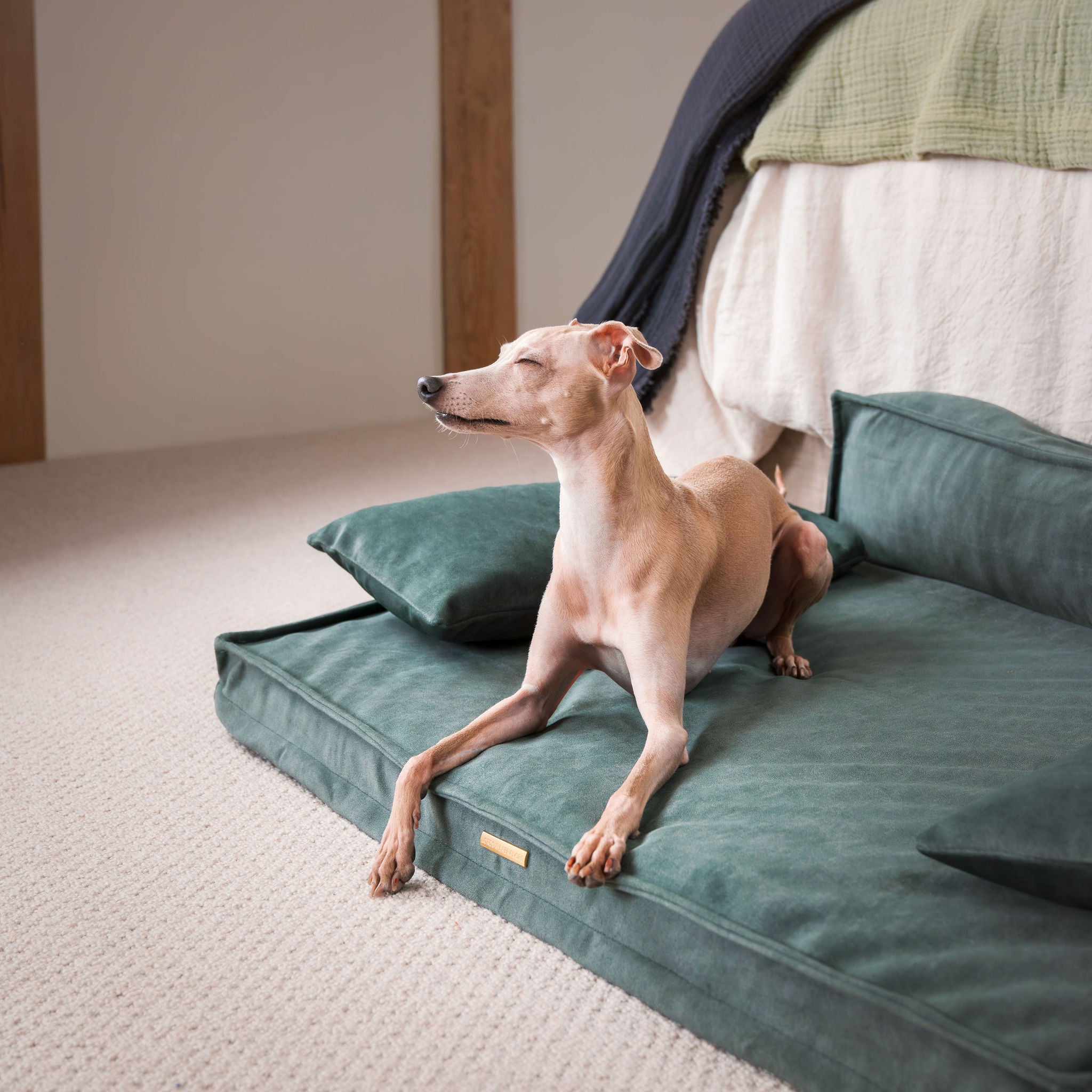 Execu-Sofa - Olive | Luxury Dog Sofas & Beds | Lords & Labradors