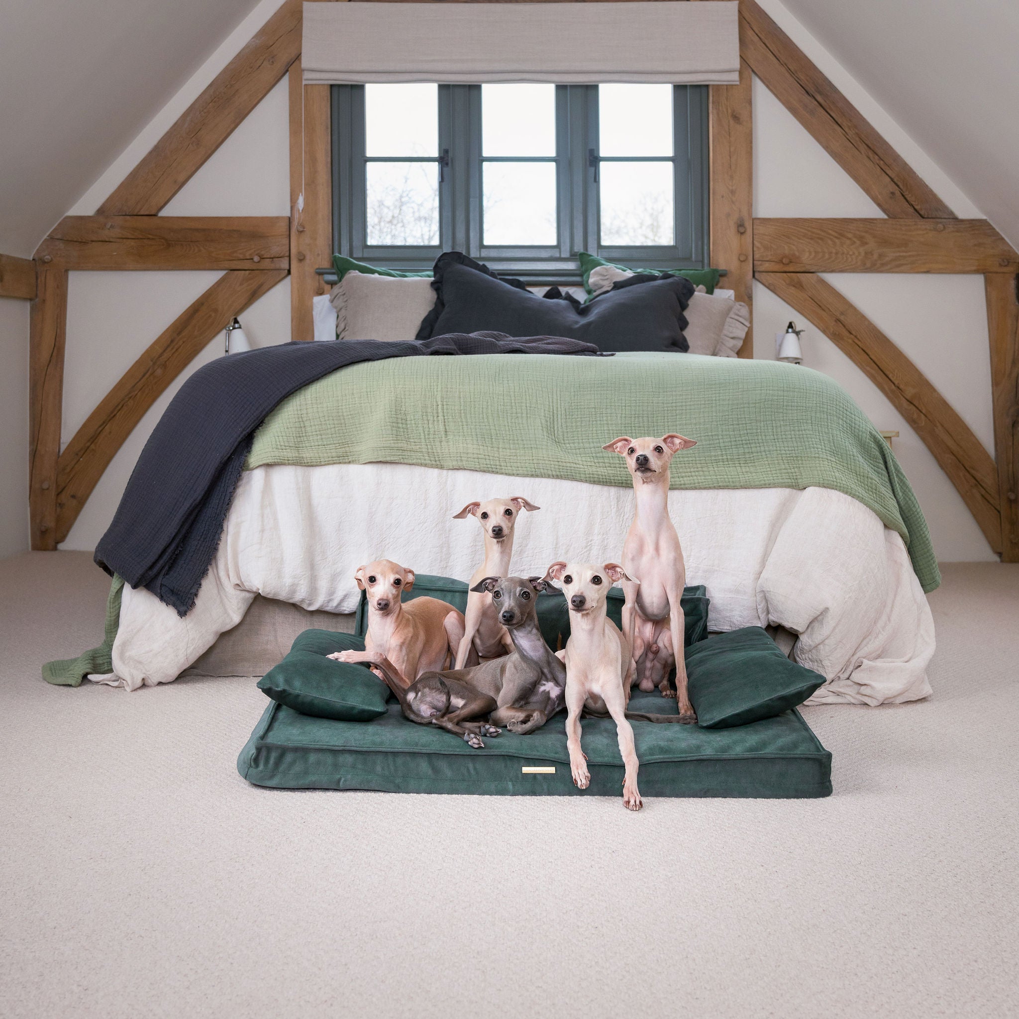 Execu-Sofa - Olive | Luxury Dog Sofas & Beds | Lords & Labradors