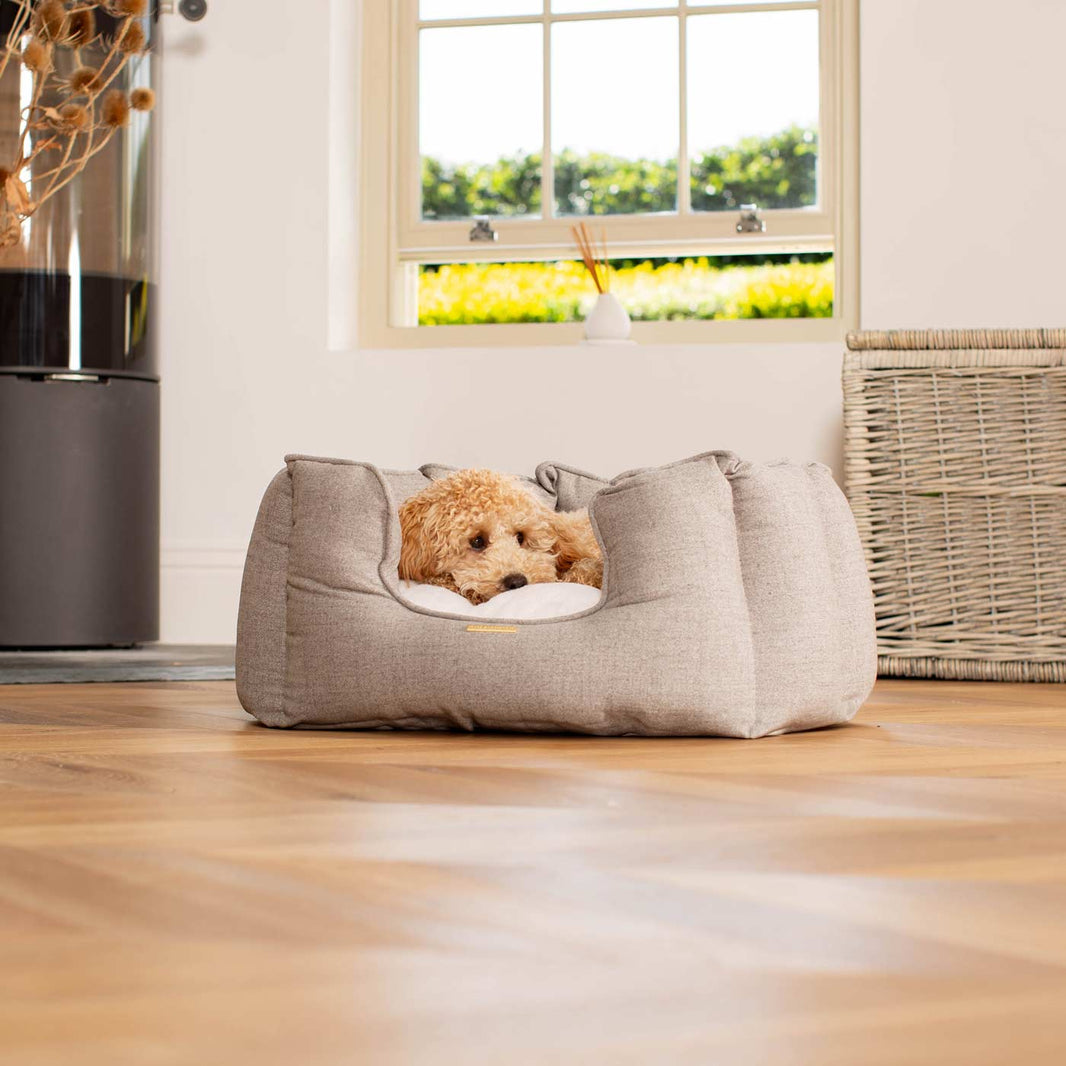 Luxury Products for Dogs & Cats | Lords & Labradors