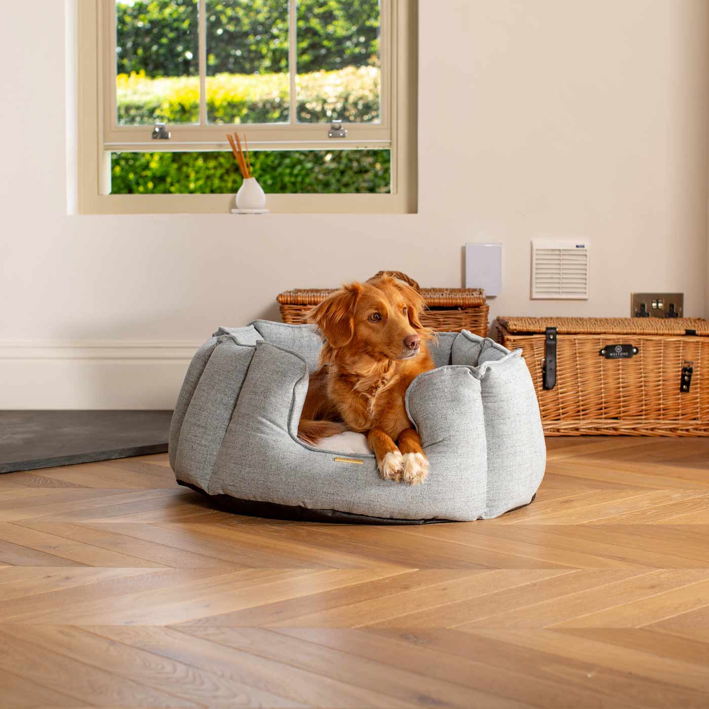 Inchmurrin High Sided Dog Bed In Iceberg | Beds For Dogs | Lords ...