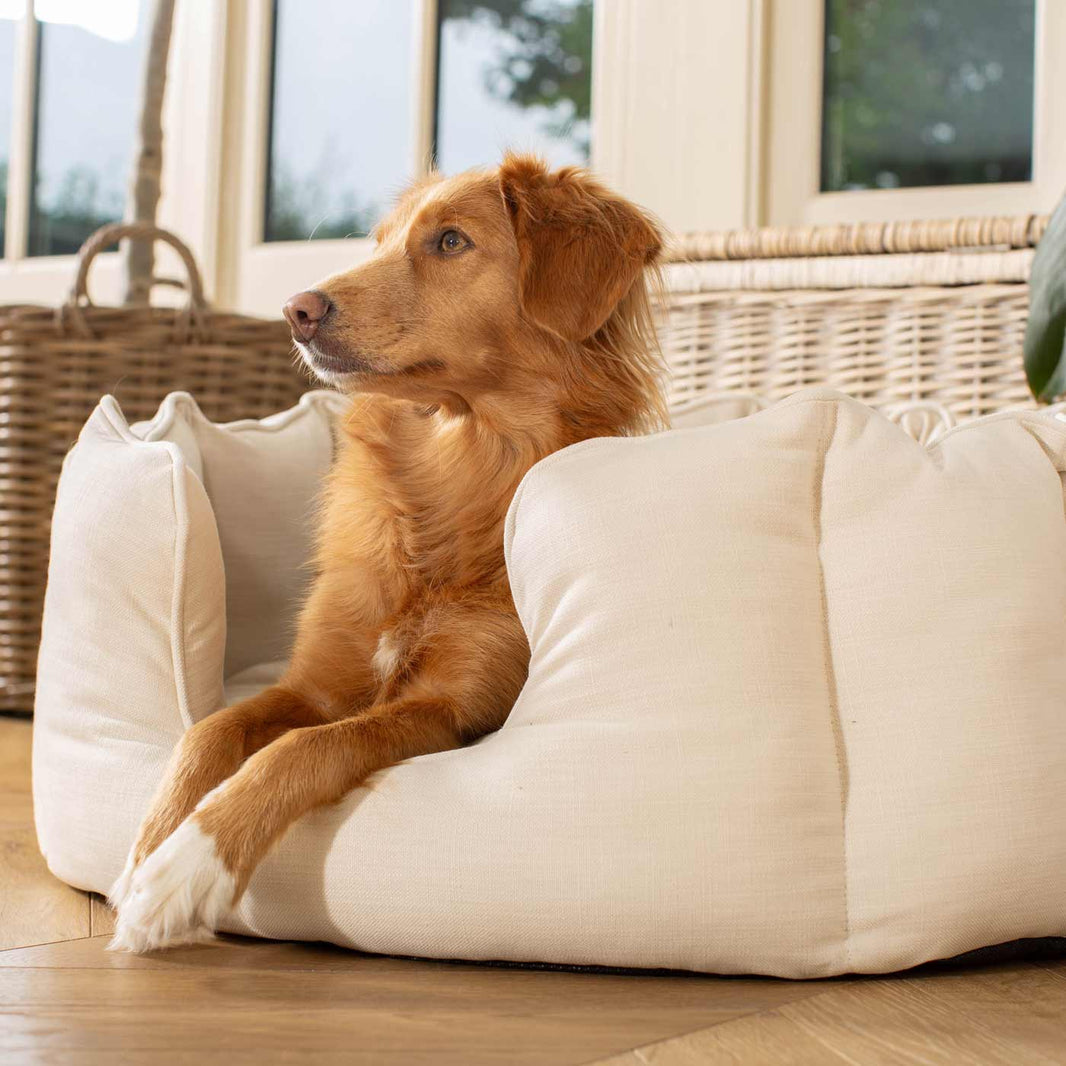 Savanna Bone Box Bed For Dogs | Luxury Dog Beds | Lords & Labradors
