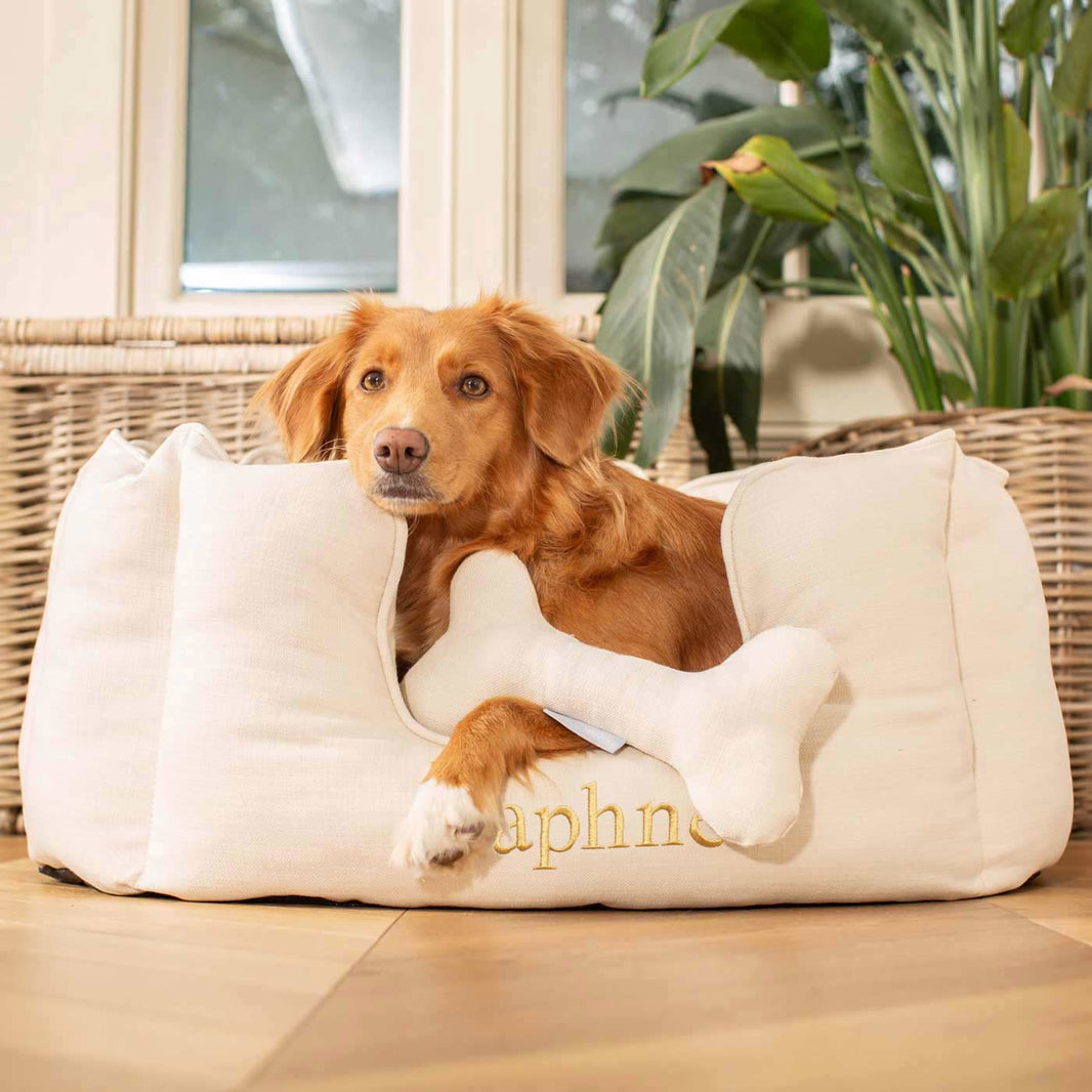 Cocker Spaniel Beds, Collars, and Accessories | Lords & Labradors