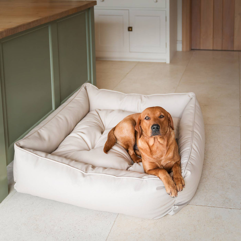 Dog Cushion in Rhino Tough Sand Faux Leather by Lords & Labradors