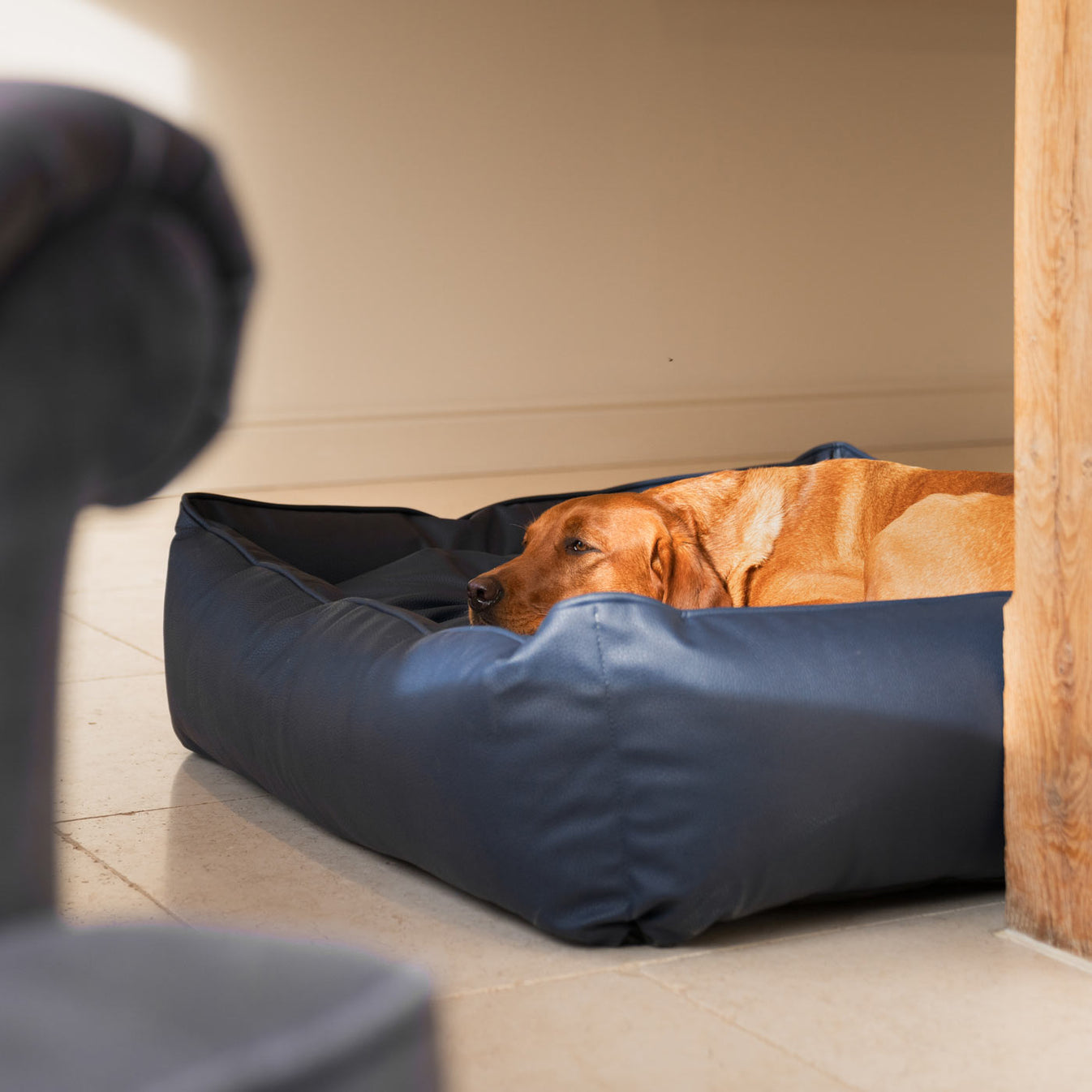 Box Bed With Removable Covers in Rhino Tough Pacific Faux Leather by L ...