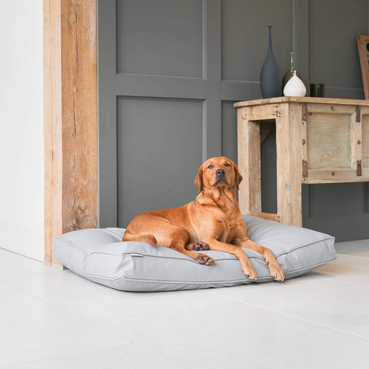 Box Bed For Dogs in Rhino Tough Granite Faux Leather by Lords & Labrad ...