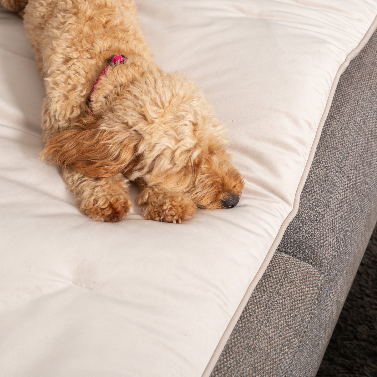 Sofa Topper in Velvet Oyster | Dog Sofa Protectors | Lords & Labradors