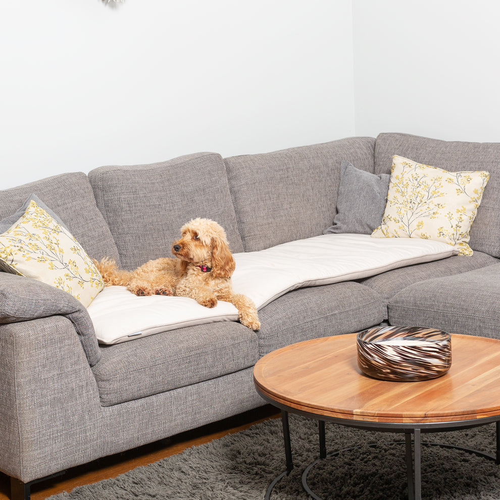 Sofa Topper in Velvet Oyster | Dog Sofa Protectors | Lords & Labradors