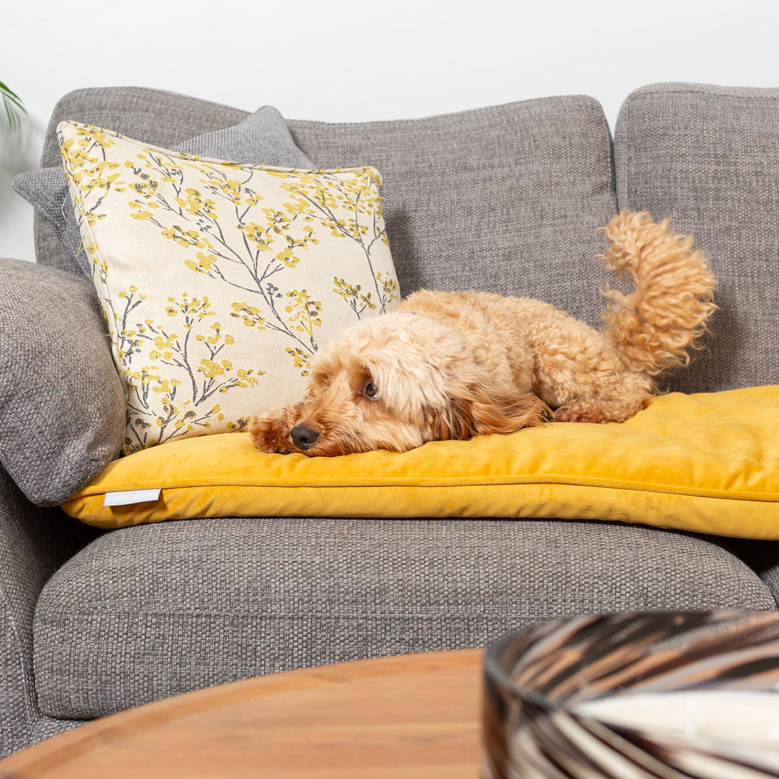 Sofa Topper in Velvet Saffron | Dog Sofa Protectors | Lords & Labradors