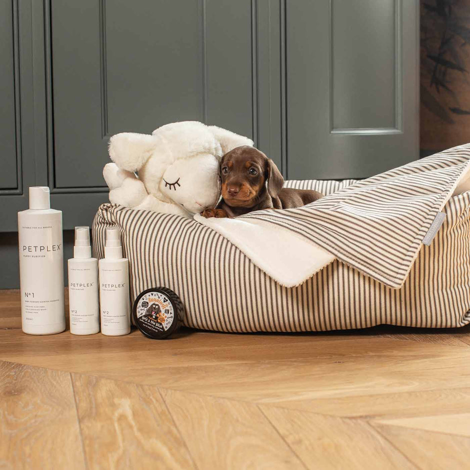 Grey Grow With Me Puppy Bed | Puppy Essentials | Lords & Labradors