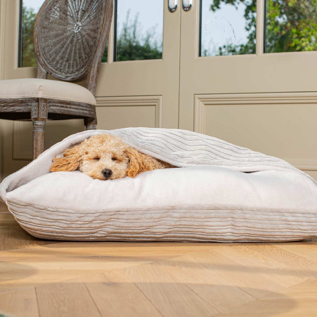 Luxury Products for Dogs & Cats | Lords & Labradors